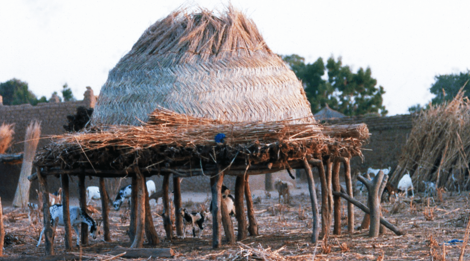 Reaching the Fulani people - SIM International