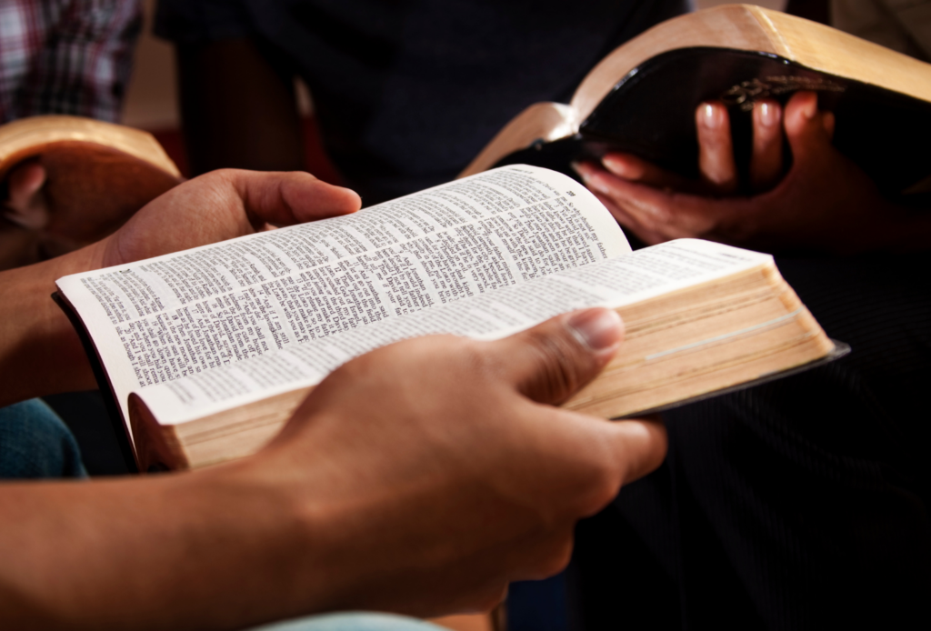 Welcome to our new digital home - SIM International