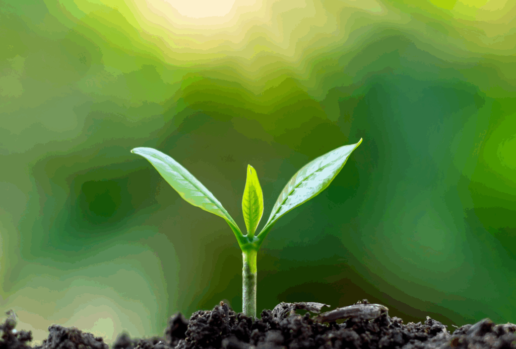 Welcome to our new digital home - SIM International